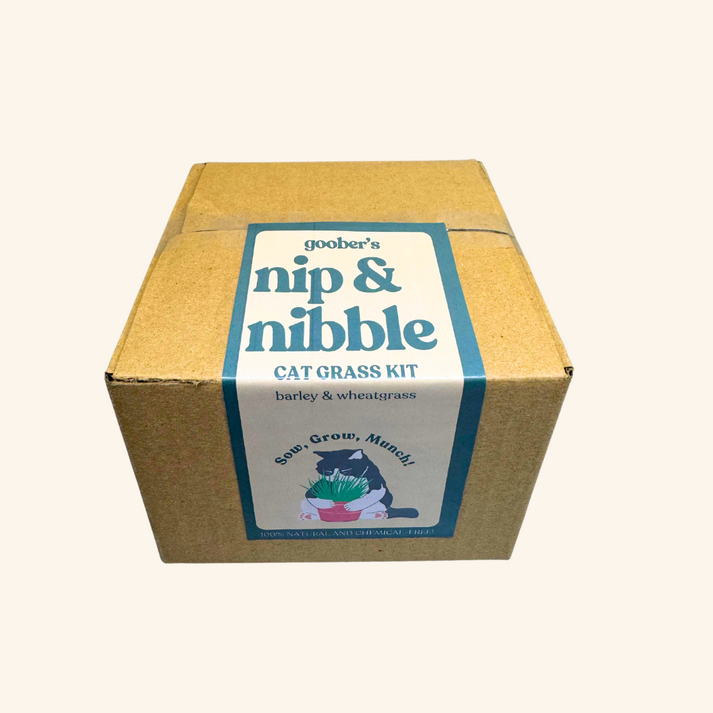 Nip and Nibble Cat Grass Kit | DIY Cat Grass Kit – Goober